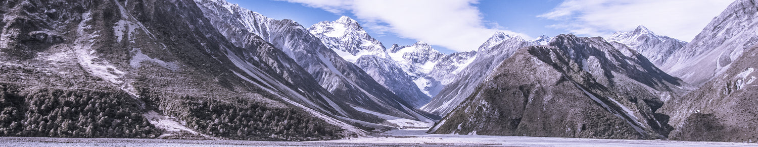 Hunters Element Founder Robert Wilson on the excitement and challenge ...