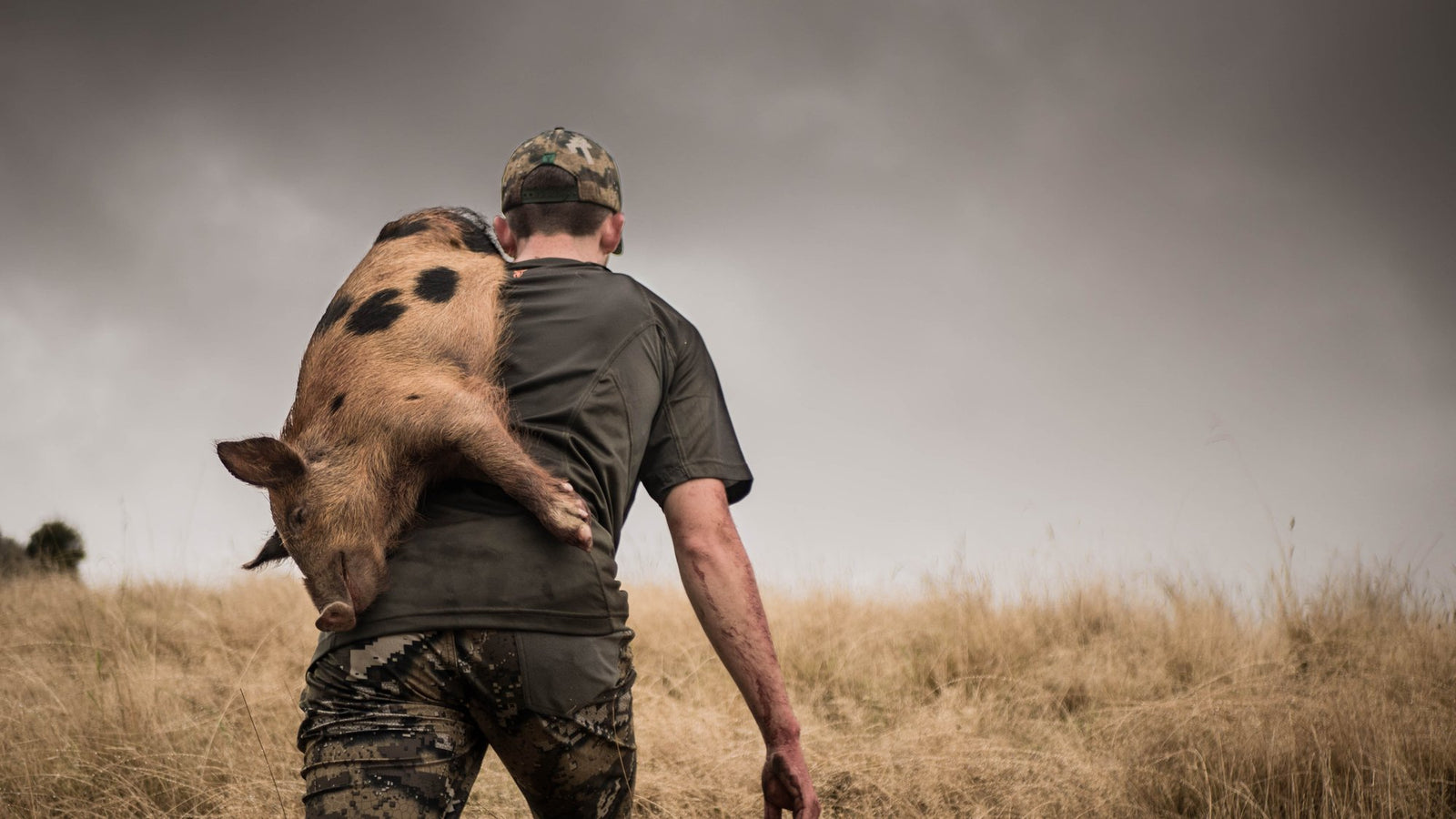 Pig Hunting - Hunters Element Global